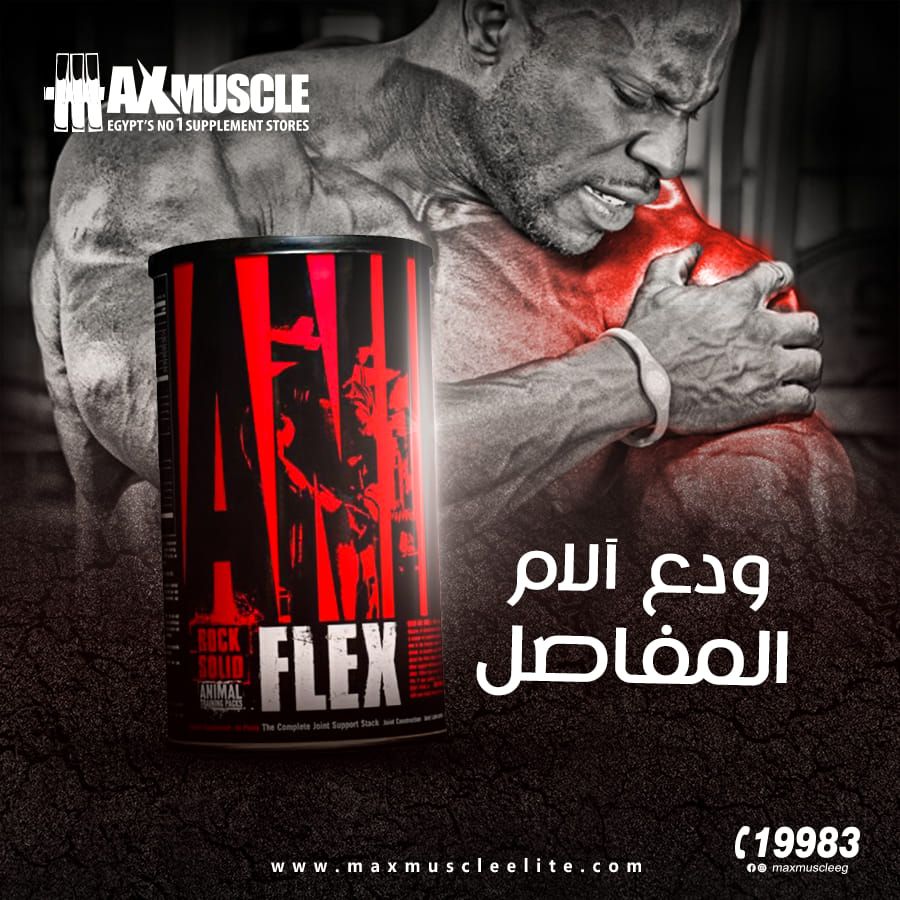 Egypt's no.1 Supplements and nutrition Stores | Maxmuscle Elite